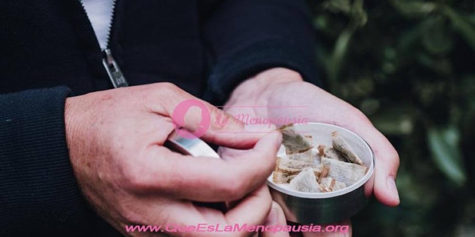 Tabaco de Mascar: Tipos, Estadísticas y Tendencias [ 2026 ]